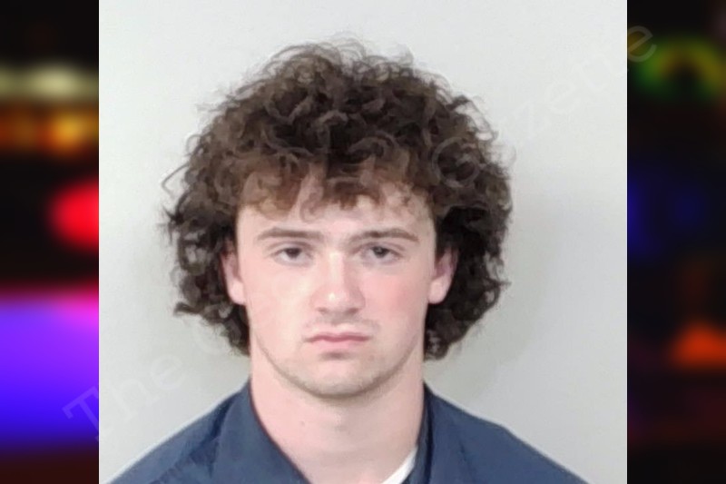 Ean Henry — Lowndes County Jail Bookings