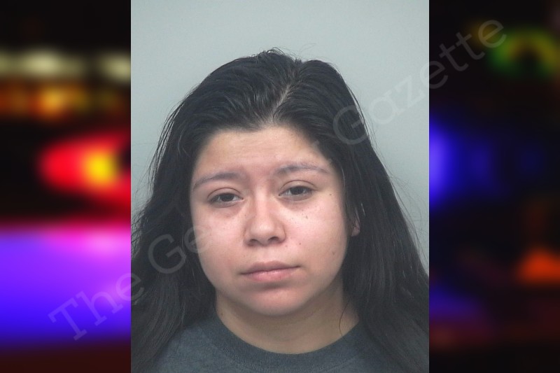 Lessly Hernandez — Gwinnett County Jail Bookings