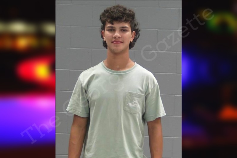 Samuel Herndon — Baldwin County Jail Bookings