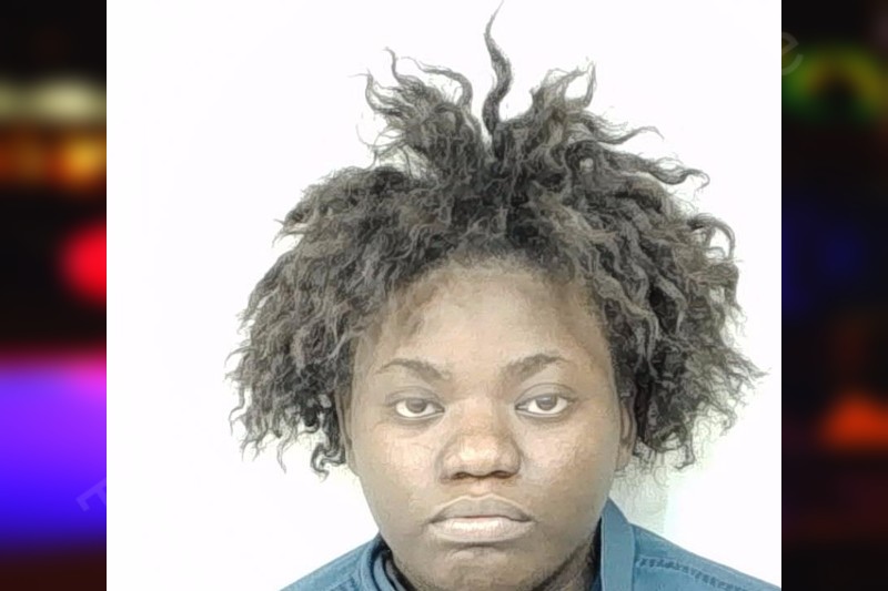 Whitney Hicks — Lowndes County Jail Bookings