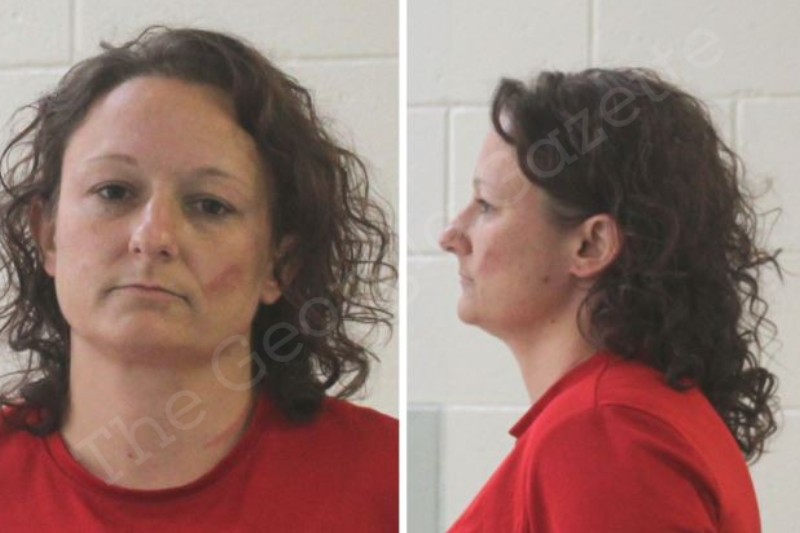 Crystal Hanie — Houston County Jail Bookings