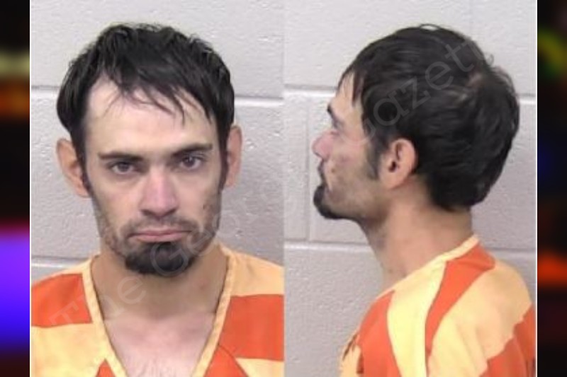Bradley Hanley — Paulding County Jail Bookings