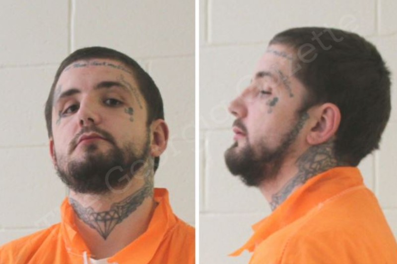 Tyler Hardy — Houston County Jail Bookings