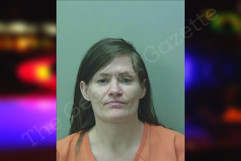 Michelle Harper — Towns County Jail Bookings