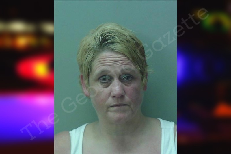 Heather Heard — Towns County Jail Bookings