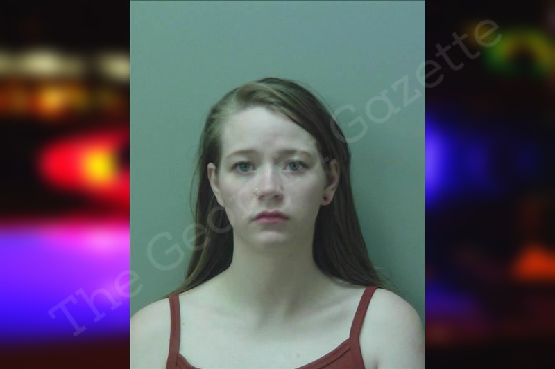 Johnsie Henry — Towns County Jail Bookings