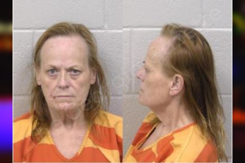 Rhonda Ingram — Paulding County Jail Bookings
