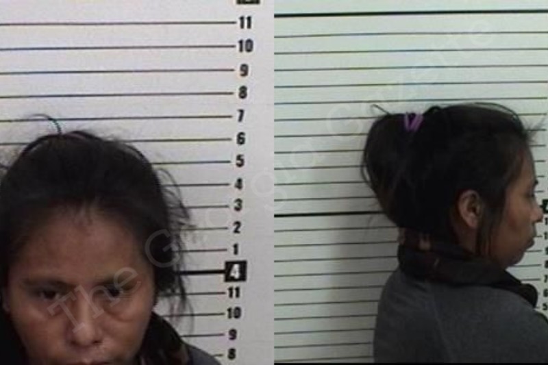 Isabel Jimenez-Pedro — Camden County Jail Bookings
