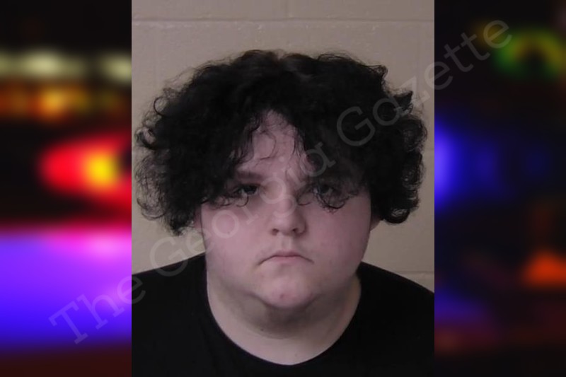 Zander Johnson — Walker County Jail Bookings