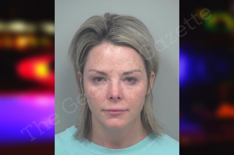 Amy Lawson — Gwinnett County Jail Bookings