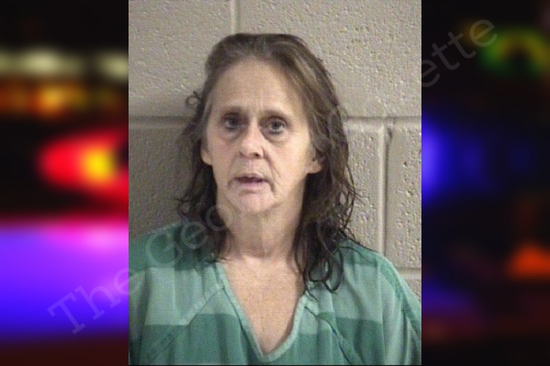 Sherley Lee — Whitfield County Jail Bookings