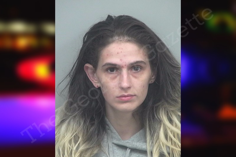 Hannah Lovell — Gwinnett County Jail Bookings