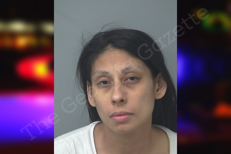 Jessica Ly — Gwinnett County Jail Bookings