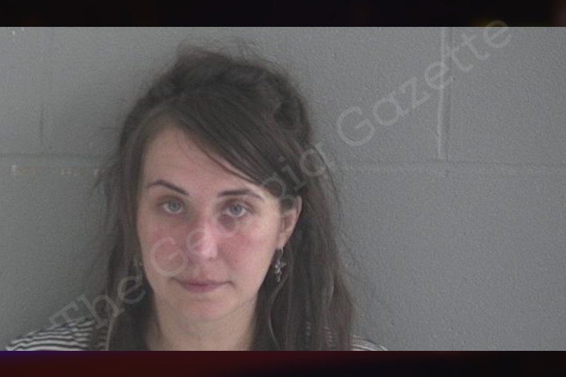Elizabeth Leary — Brantley County Jail Bookings