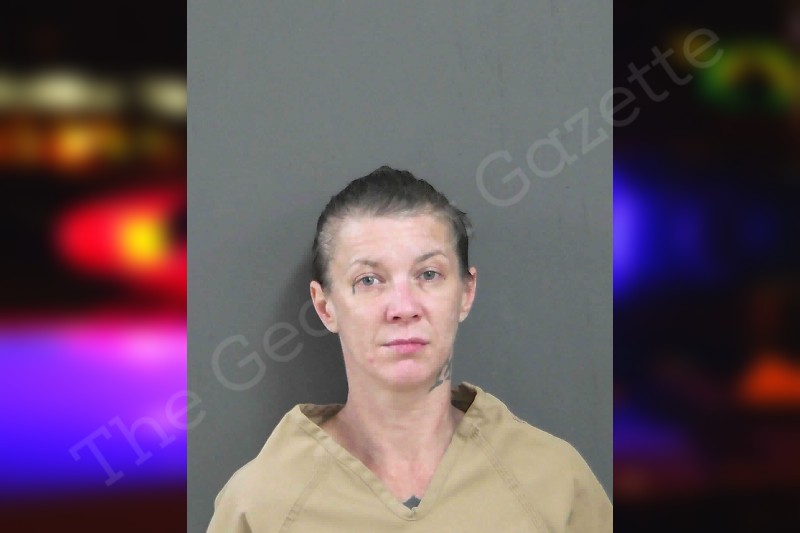 Francis Leming — Gordon County Jail Bookings