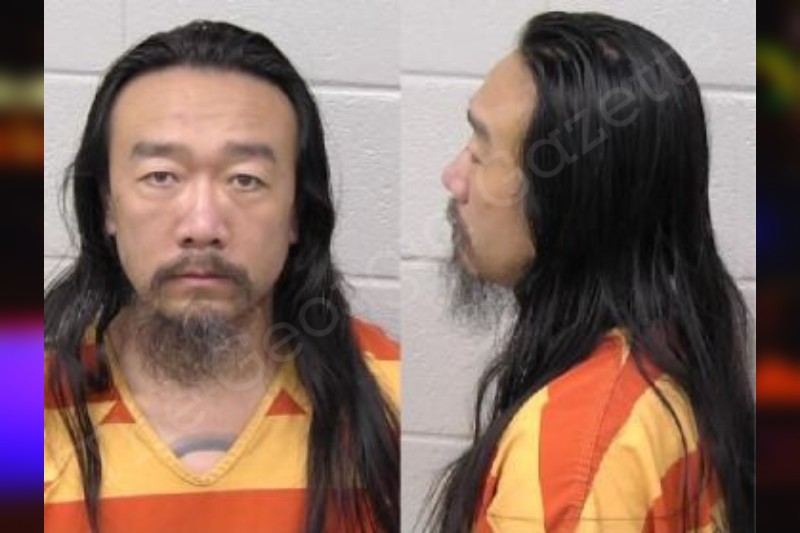 Nan Li — Paulding County Jail Bookings