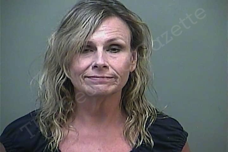 Bonnie Long — White County Jail Bookings