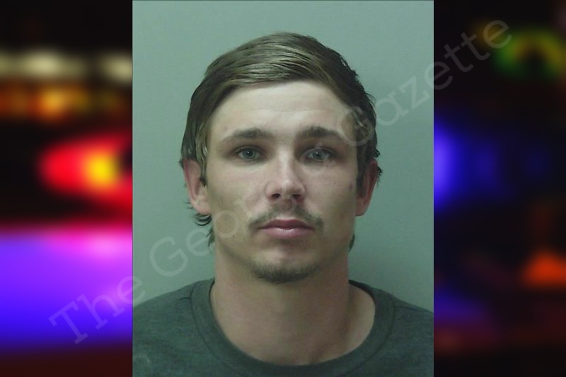 Devin Lowery — Towns County Jail Bookings