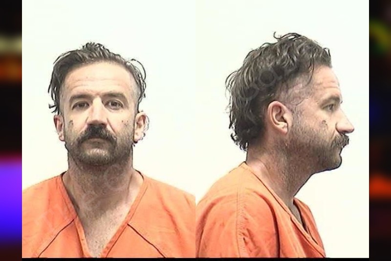 Maxim Maleev — Clarke County Jail Bookings