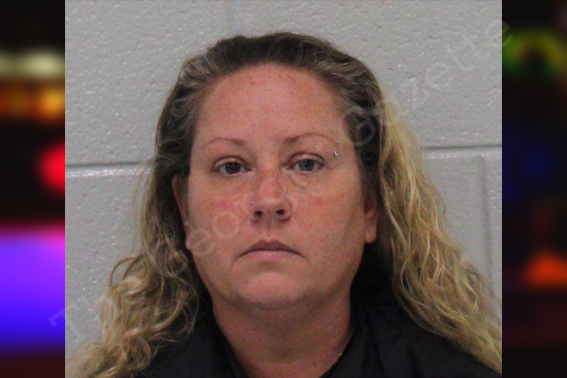Sara Michaud — Carroll County Jail Bookings