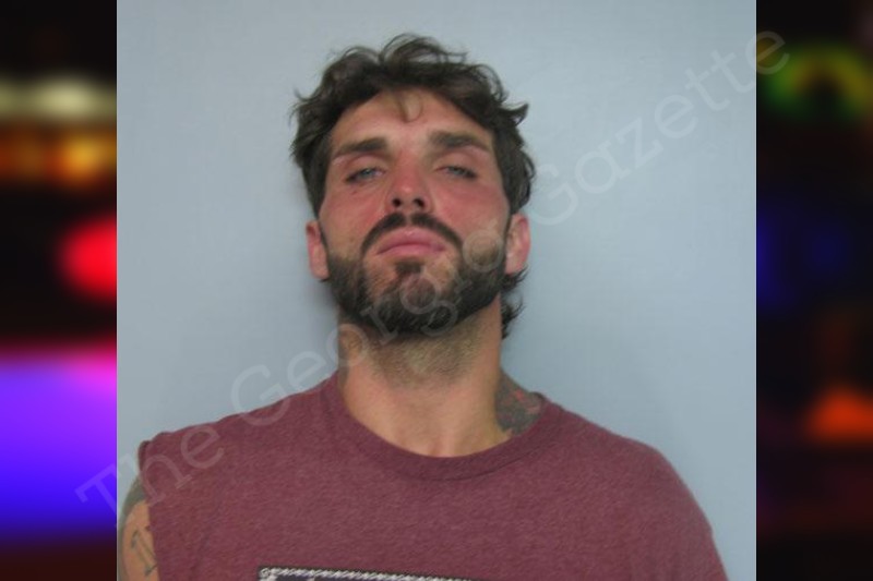 Dylan Miller — Hall County Jail Bookings