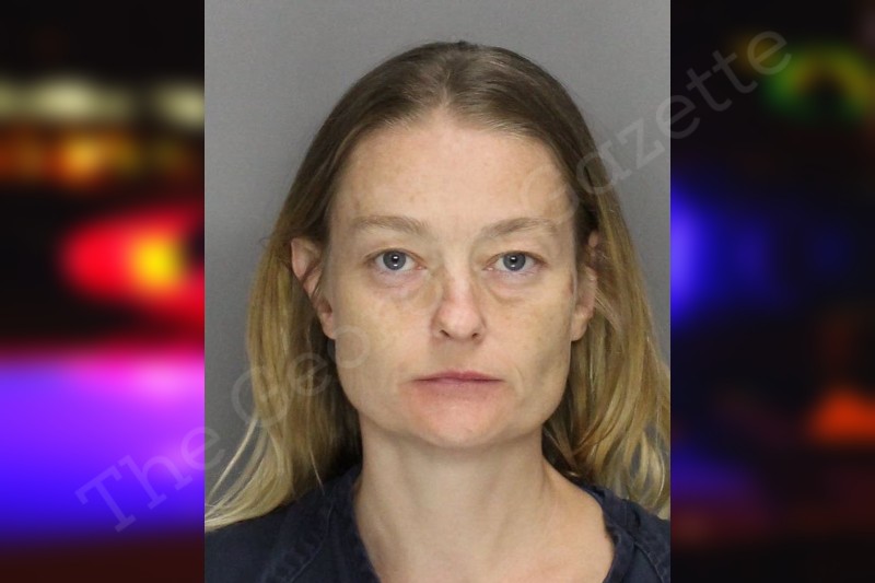 Ashley Morrison — Cobb County Jail Bookings