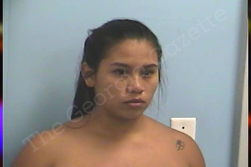 Ruth Machic Lopez — Dawson County Jail Bookings