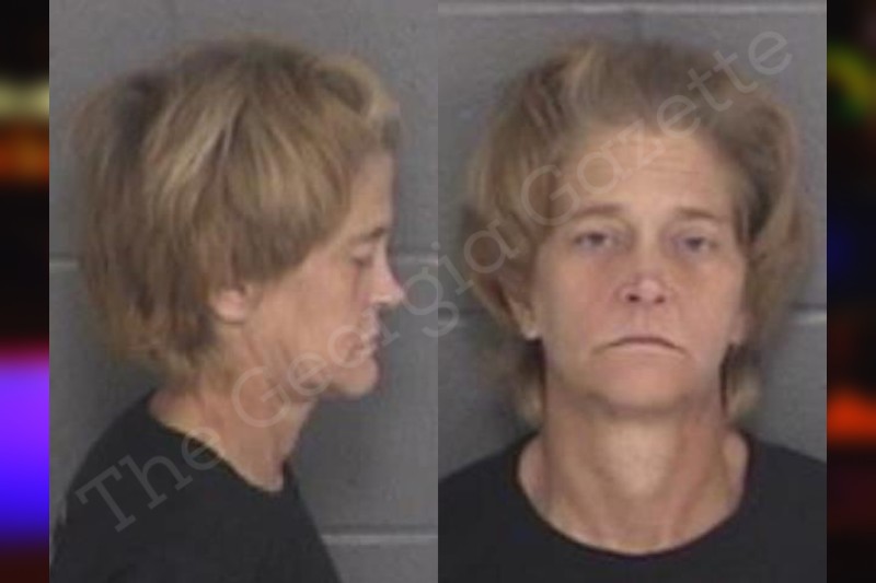 Lisa Mathis — Barrow County Jail Bookings