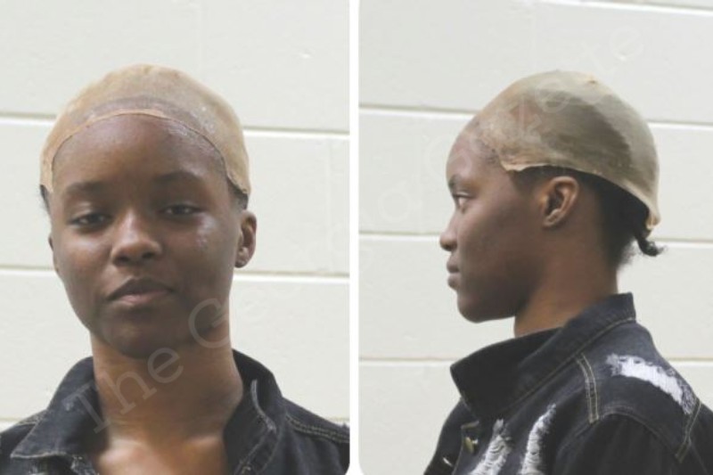 Mahagony Mitchell — Houston County Jail Bookings