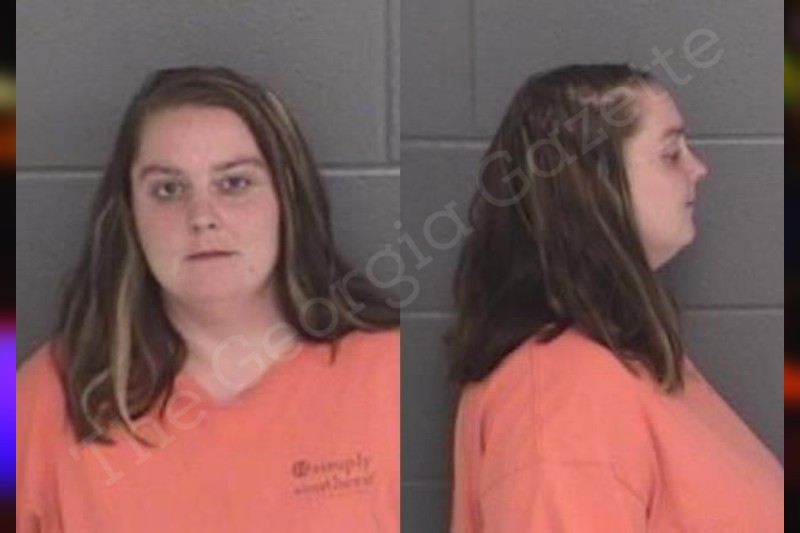 Miranda Mobley — Barrow County Jail Bookings