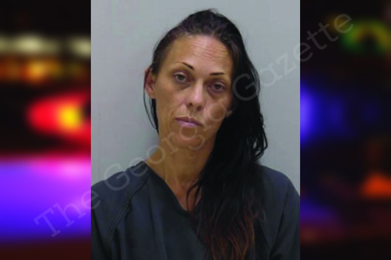 Lacey Morgan — Bartow County Jail Bookings