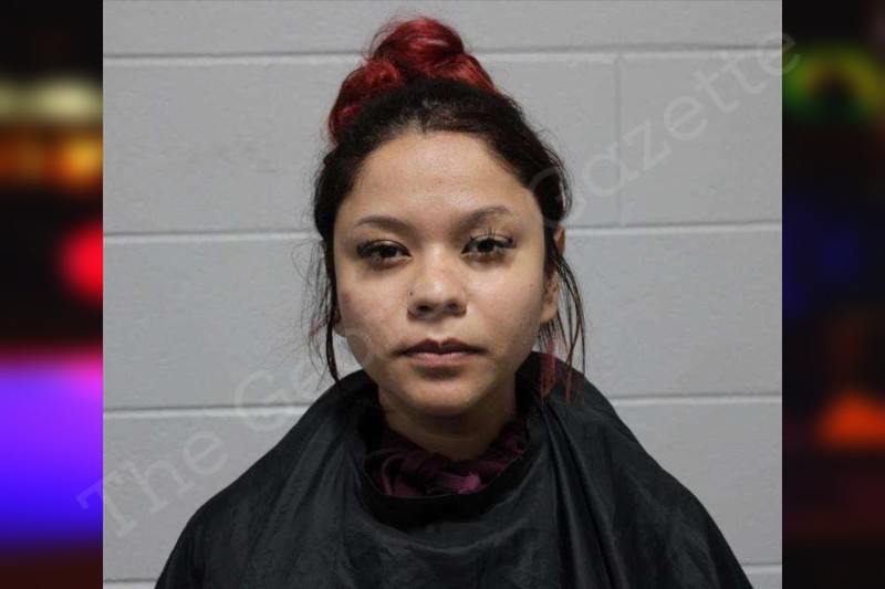 Ramona Negrete-Ramirez — Habersham County Jail Bookings