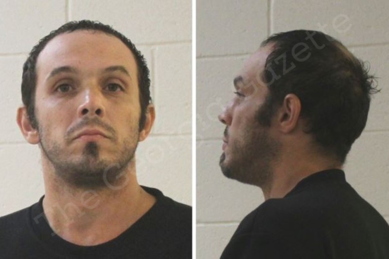 Timothy Nelson — Houston County Jail Bookings