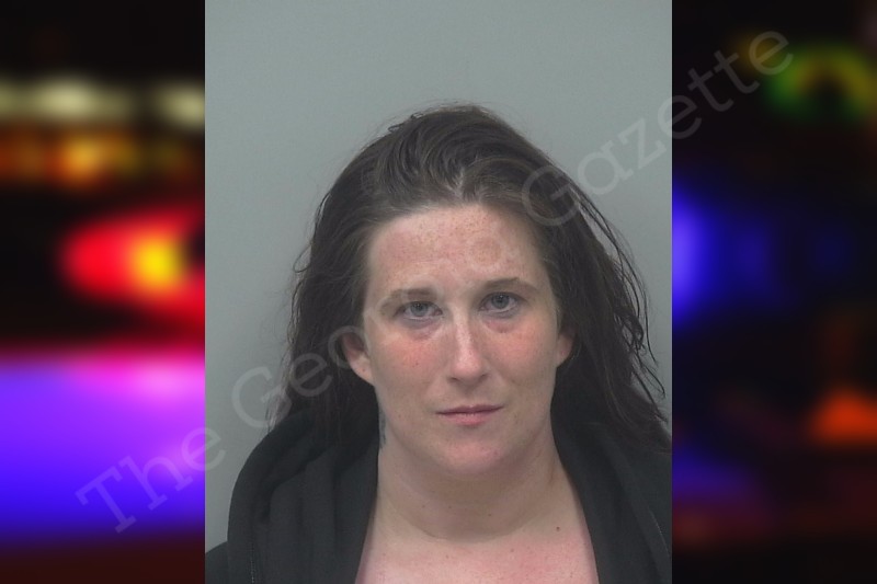 Stacey Ogletree — Gwinnett County Jail Bookings