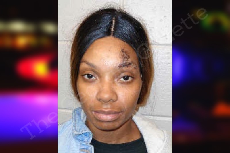 Erica Partridge — Henry County Jail Bookings