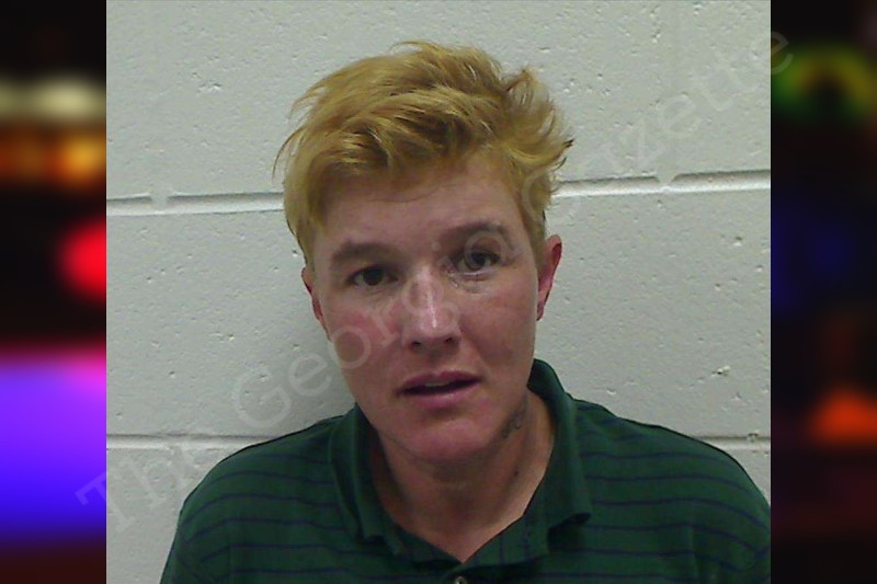 Nicole Patten — Bulloch County Jail Bookings