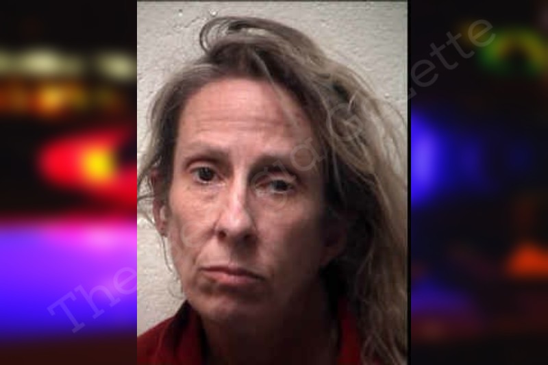 Melissa Penn — Henry County Jail Bookings