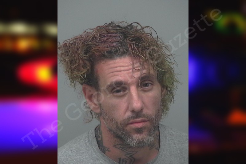 Ronald Phillips — Gwinnett County Jail Bookings Ronald Phillips — Gwinnett County Jail Bookings