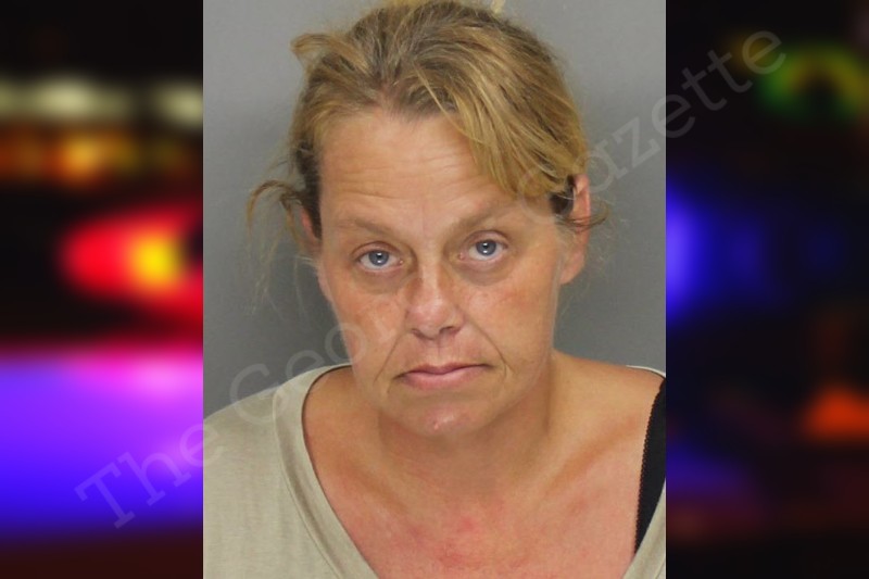 Tracy Phillips — Cobb County Jail Bookings