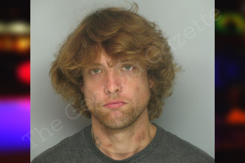 Anthony Picklesimer — Hall County Jail Bookings