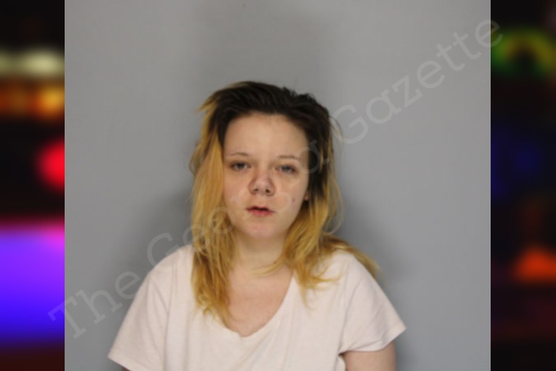 Lea’ Propst — Hall County Jail Bookings