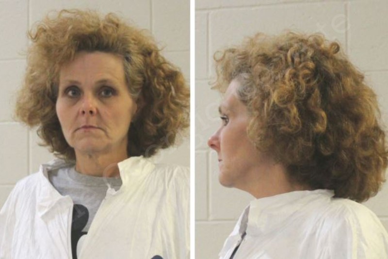 Michelle Pait — Houston County Jail Bookings