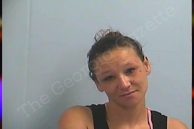 Jessica Patton — Dawson County Jail Bookings