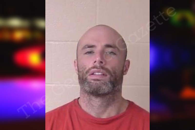 Damon Payne — Walker County Jail Bookings