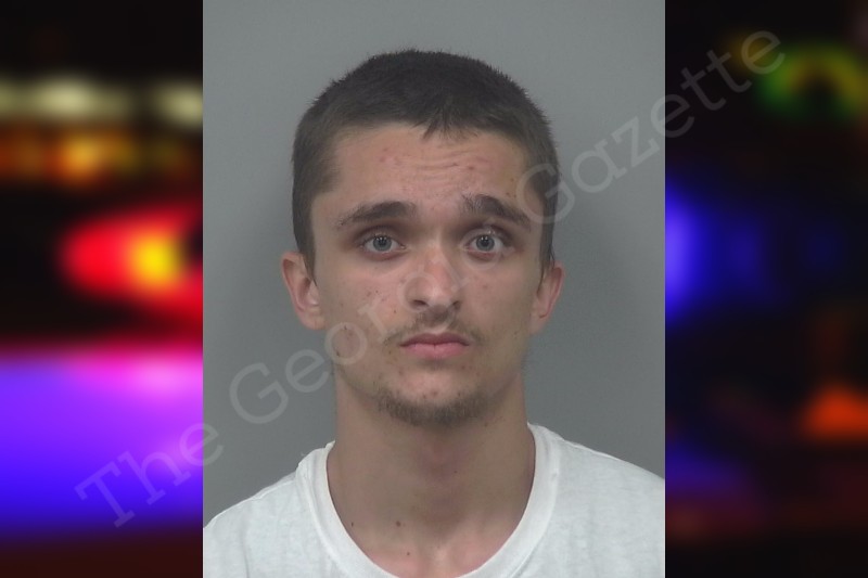 Brian Radu — Gwinnett County Jail Bookings