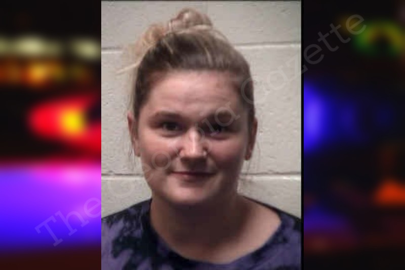 Haley Register — Henry County Jail Bookings