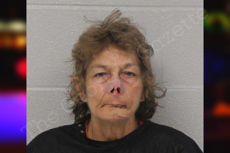 Cynthia Rigsby — Carroll County Jail Bookings