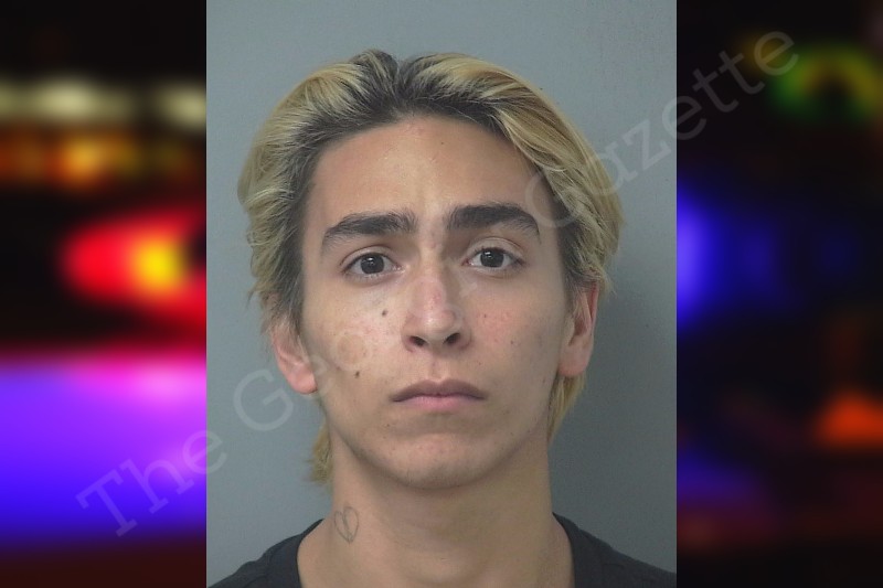 Louis Rodriguez — Gwinnett County Jail Bookings