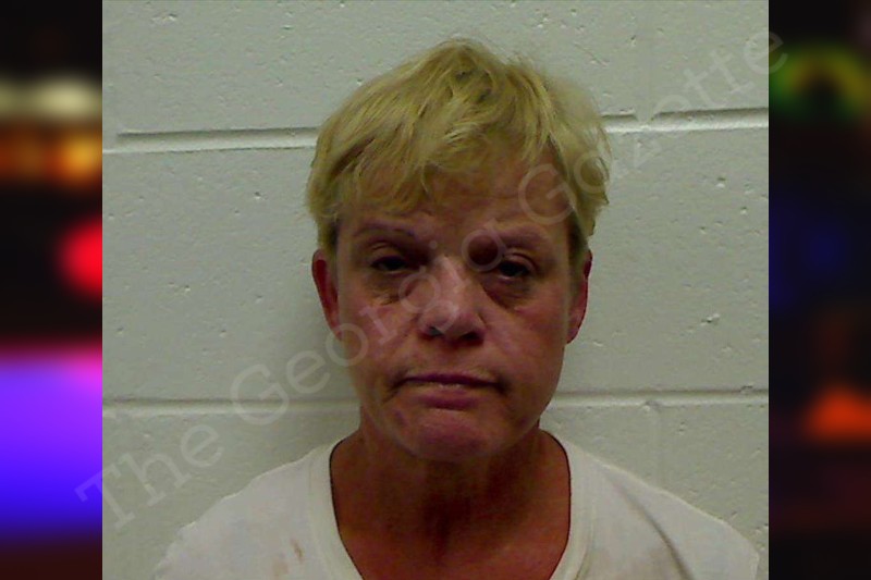 Michelle Rushing — Bulloch County Jail Bookings