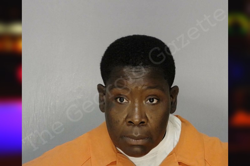 Rachel Robinson — Bibb County Jail Bookings